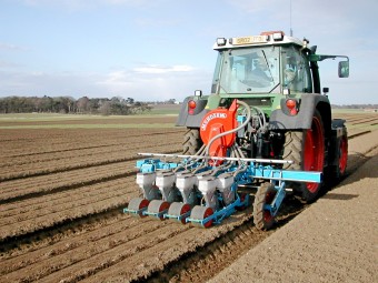 «Monosem» – семечко к семечку