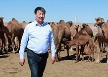 Как с нуля создать успешный сельхозбизнес в Казахстане – история ...